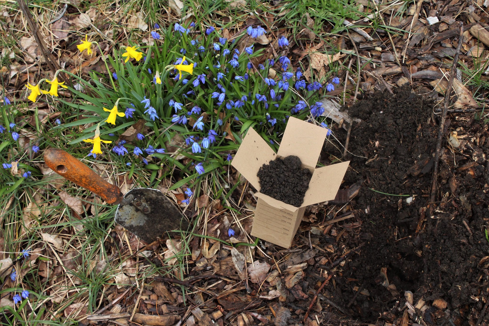 Lead Contamination in Maine's Soils | Plant Something! Plant Maine ...